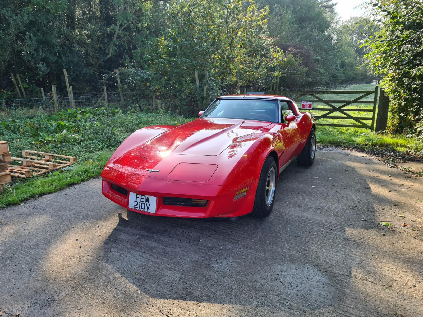 1980 Chevrolet Corvette C3 for sale | Castle Classic Cars