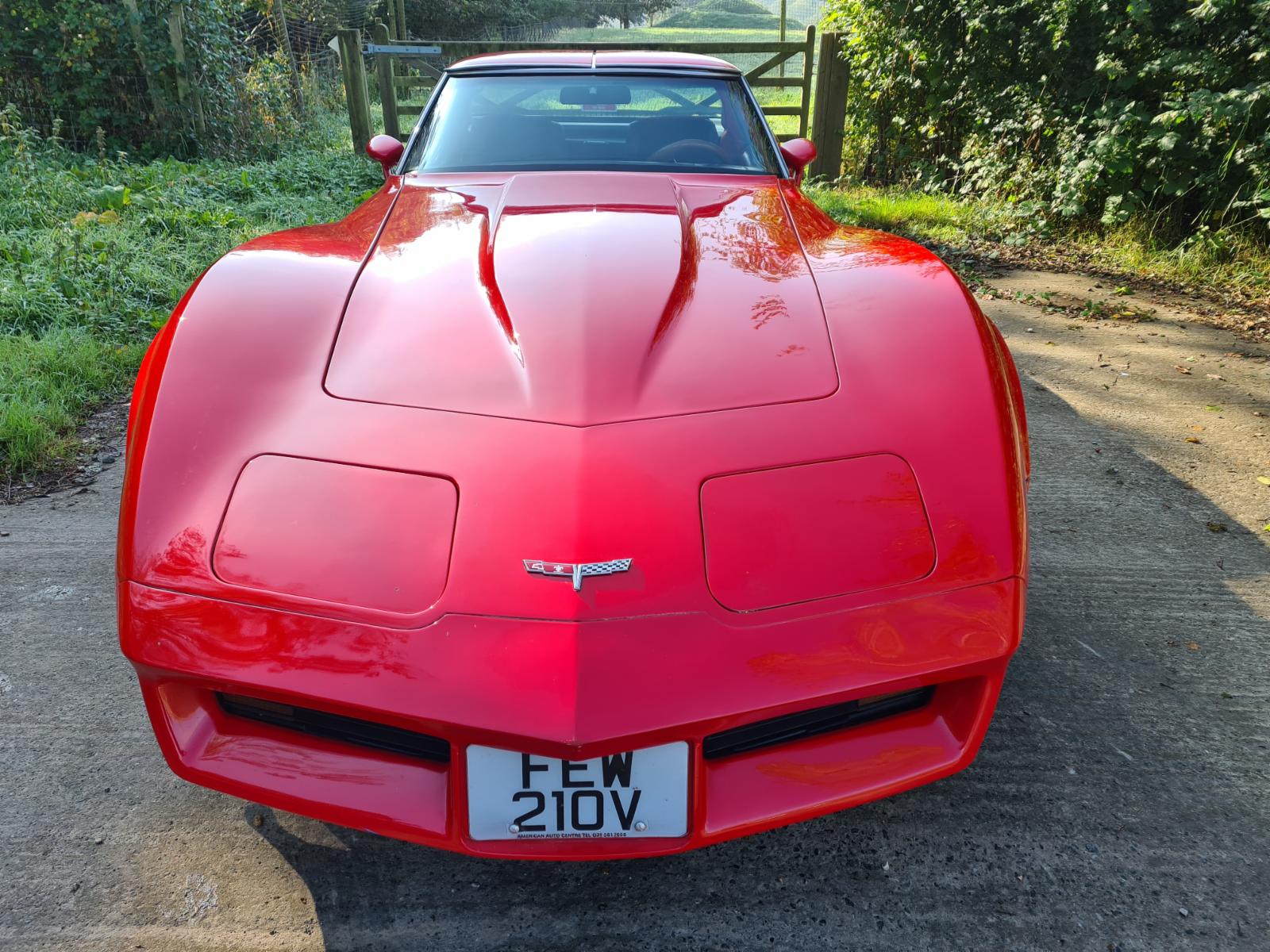 1980 Chevrolet Corvette C3 for sale | Castle Classic Cars