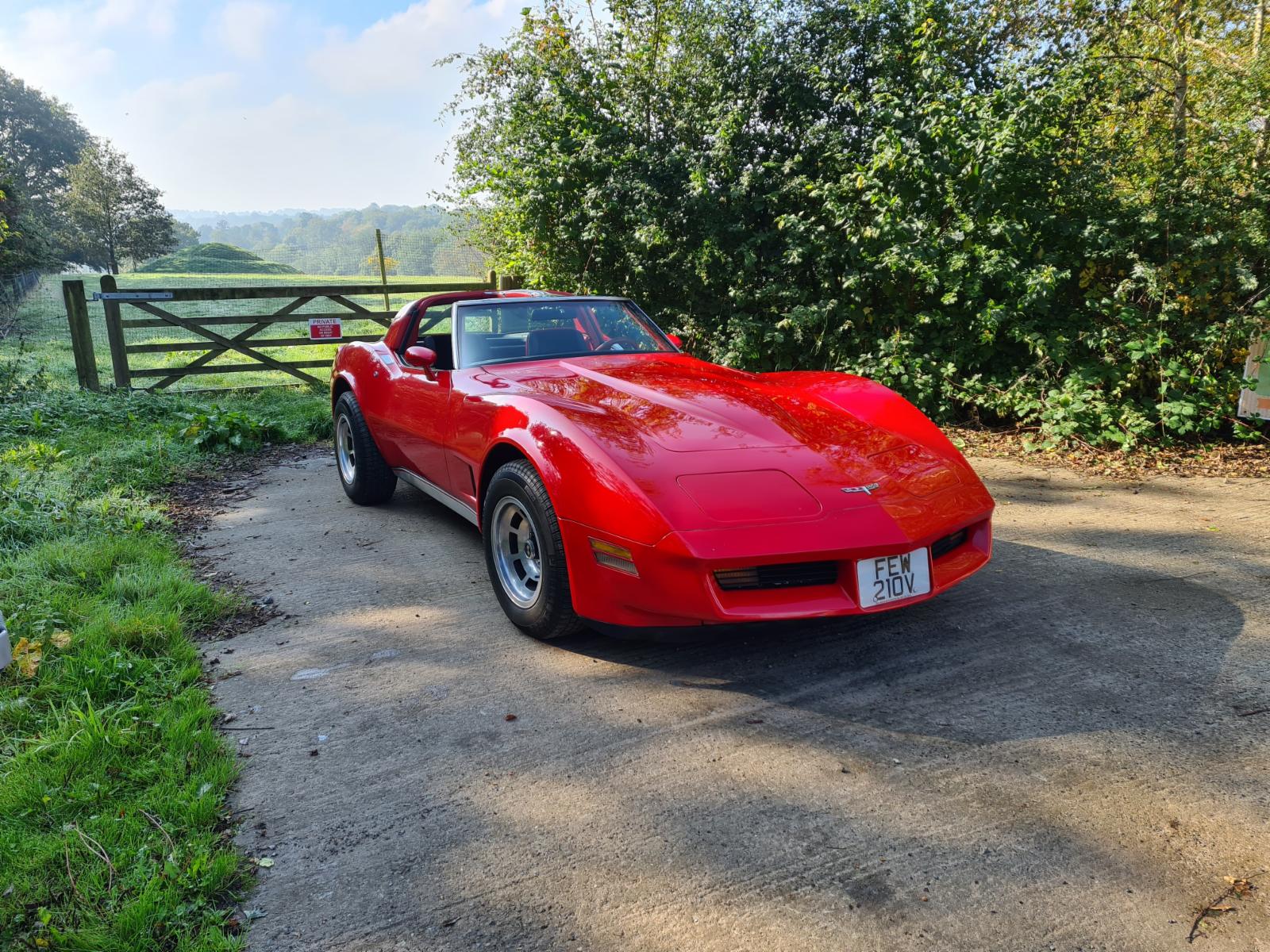 1980 Chevrolet Corvette C3 for sale | Castle Classic Cars